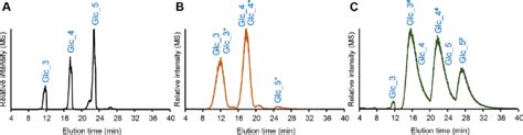 Hilic Extracted Ion Chromatograms Of Non C4 And C1 Oxidised