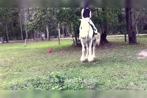 马儿不愿意被人骑，背着男子一路狂奔男子