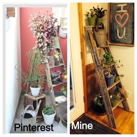 Repurpose Old Ladder Plant Stand