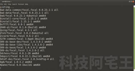 Linux Ubuntu Apt 指令更新、升級、移除、安裝套件教學 科技阿宅王