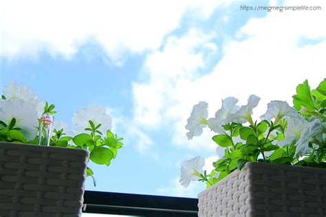 【片付けを続けるコツ】片付けは、晴れた日の朝にするといい理由 Megmeg Simple Life 収納インテリア