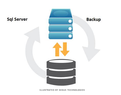 نحوه ری استور Restore کردن بک آپ Back Up در Sql Server پرس نت