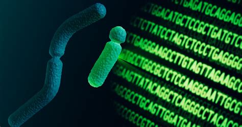 What Is Biological Sex Psychology Today