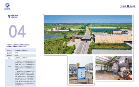 中国石油化工股份有限公司胜利油田分公司孤东采油厂新滩联合站余热代气项目 瑞多环保