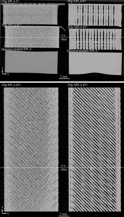 Slices Acquired At 13 µm 3 Voxel Size Showing All Six Specimens In Download Scientific
