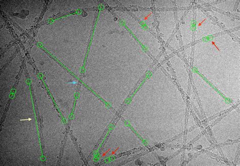 import cryolo s particle list into relion 3 1 and after kpwu s group