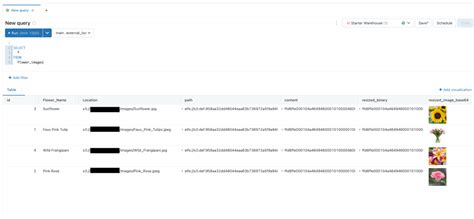 image data sets with databricks notebooks databricks sql and power bi