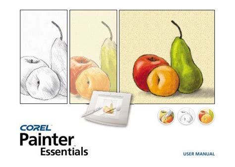 Corel Painter Essentials 5 Resize Selection Vidsany