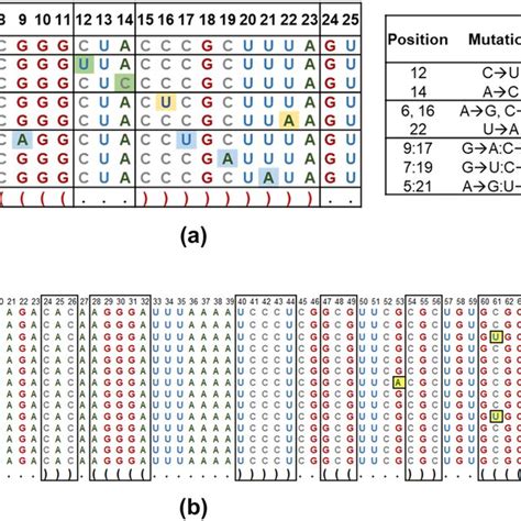 A Polymorphisms In Secondary Structure Of A Hypothetical Sequence Download Scientific Diagram