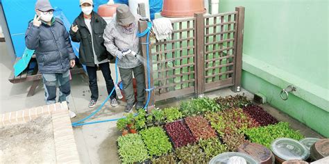 도시농업공동체 풀꽃향기 지속가능한 Esg 실천 텃밭경작 봄채소 모종 식재작업 방화11종합사회복지관