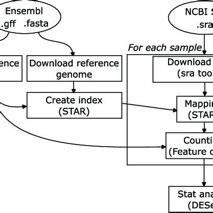 A Number Of Groups That Chose Nextflow Or Snakemake Per Year B