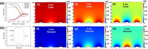 Digital Simulation Of The Cyclic Voltammetry And The Concentration