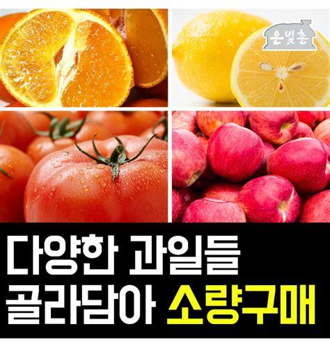 소포장 야채 과일 식당 식자재 1인가구 자취생 요리 식재료 티몬