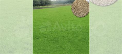 Семена газонной травы купить в Воронеже Товары для дома и дачи Авито