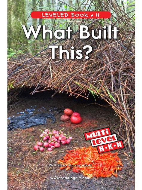 What Built This Level H Pdf