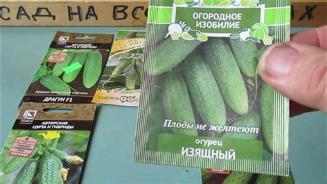 КАК ВЫРАСТИТЬ 20 кг ОГУРЦОВ С ОДНОГО КУСТА Youtube