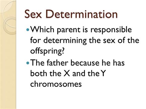 Sex Chromosomes Ppt Download