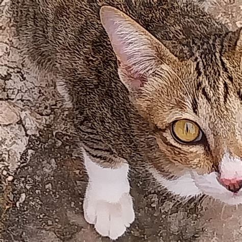 Maralyn ต้องหาที่มาของความรู้สึกทั้งหมดที่เกิดขึ้นหมดในตอนนี้กอ่นค่ะ บางทีเราอาจจะเจอปัญหาเยอะ