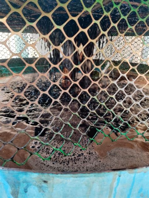 How To Overcome Cooling Tower Scaling