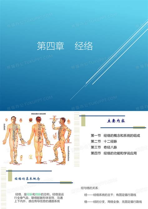 经络PPT模板下载 编号qenomkxn 熊猫办公