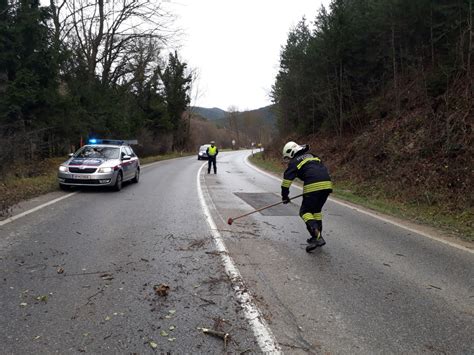 Baum über Straße Freiwillige Feuerwehr Gaaden
