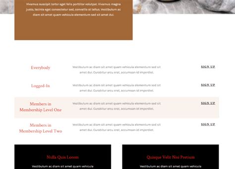 Divi Plugin Highlight Wishlist Member Divi Integration