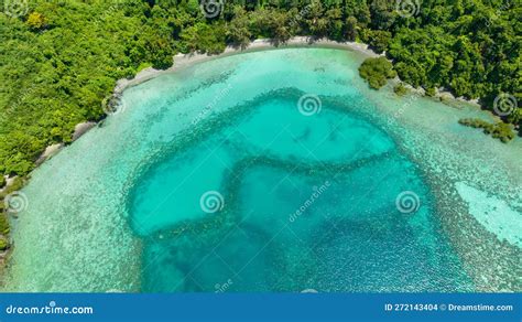 Tropical Island And Lagoon Borneo Malaysia Stock Photo Image Of