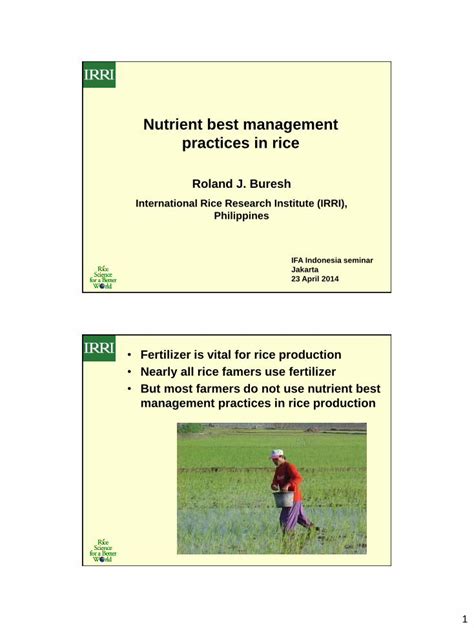 (PDF) Nutrient best management practices in rice · Nutrient best management practices in rice ...