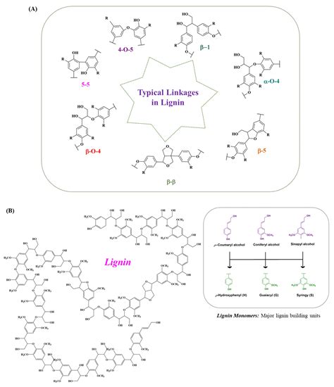 Molecules Free Full Text Recent Advancements And Challenges In Lignin Valorization Green
