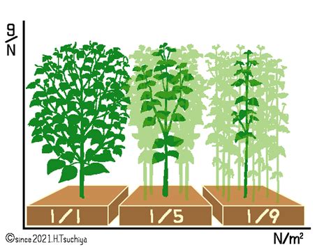 74最終収量一定則 SOIL SHOP生物教材製作所 自習室