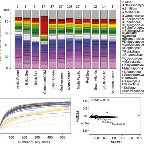 18s Rrna Amplicon Sequencing Of Global High Throughput Sequencing