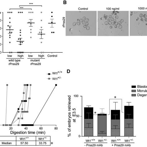 Wt1 Variant From An Infertile Patient Shows Reduced Dna Binding