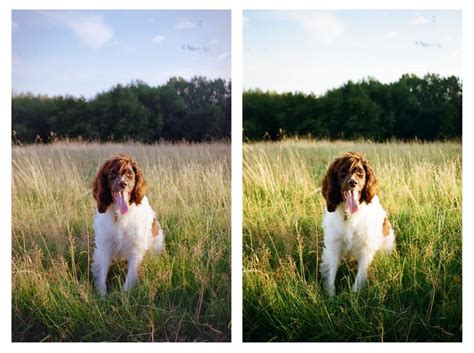 Dslr Scan Left Vs Lab Scan Right Which Do You Prefer And Why R