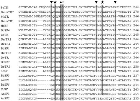 Protein Alignment Of Insect Sps Protein Alignment Of All Bdsps Used In