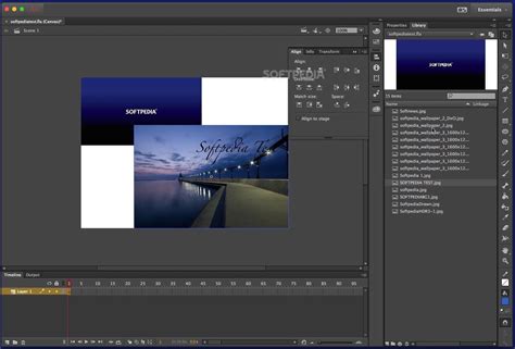 Adobe Flash Cs Trial Version Pilotpussy