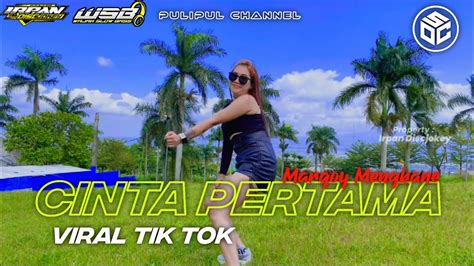 DJ CINTA PERTAMA FULL PARGOY VIRAL TIK TOK YouTube