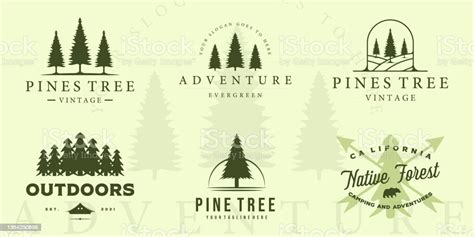 소나무 로고 빈티지 벡터 일러스트 템플릿 아이콘 그래픽 디자인세트 타이포그래피가 있는 다양한 복고풍 식물 소나무 의 번들 컬렉션 소나무 침엽수에 대한 스톡 벡터 아트 및