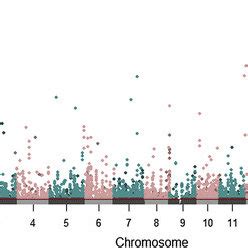 Genome Wide Sex Differences In Dnam Across The Autosomes In The Download Scientific Diagram