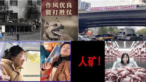 Articles Gan Jing World Technology For Humanity Video