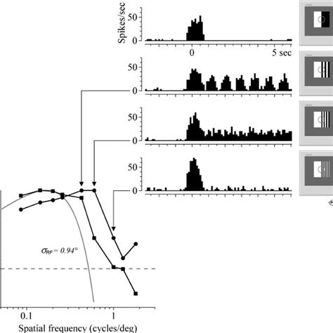 Simultaneous Intracellular And Extracellular Recording From A Ca1
