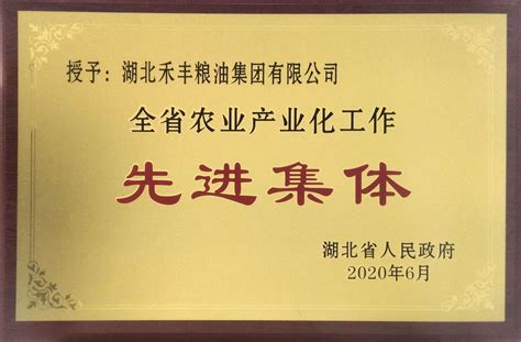 企业图册 湖北禾丰粮油集团