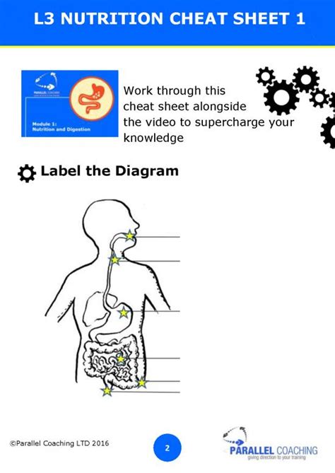 Nutrition Therapy Pdf 145820 Cheat Sheet Module 1 Digestion And Nutrition