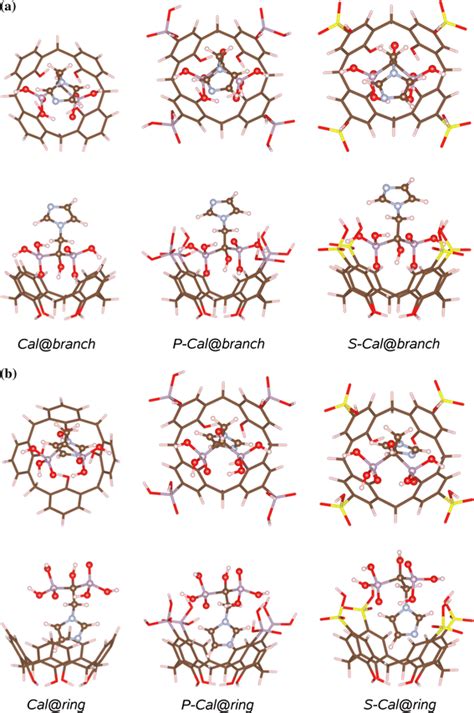 Optimized Structures Of Host Guest Complexes Formed By Free Download Scientific Diagram