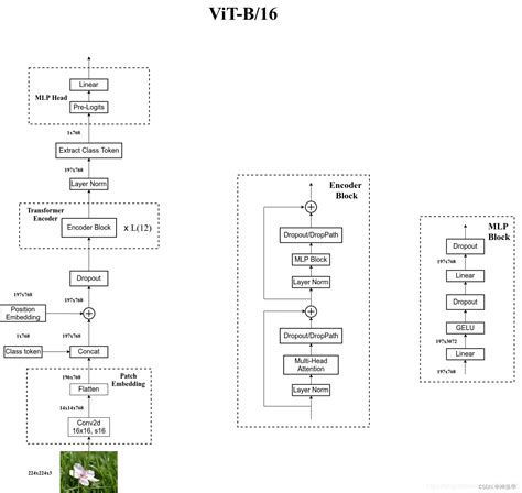 李沐论文精读系列二：vision Transformer、mae、swin Transformer Vision Transformer和vision Mamba Csdn博客