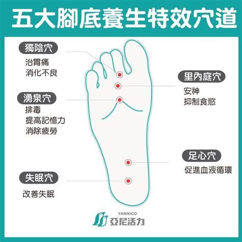 5個重要「腳底穴位」在哪裡？按對位置很放鬆！ 亞尼活力 In 2024 Health Knowledge Health