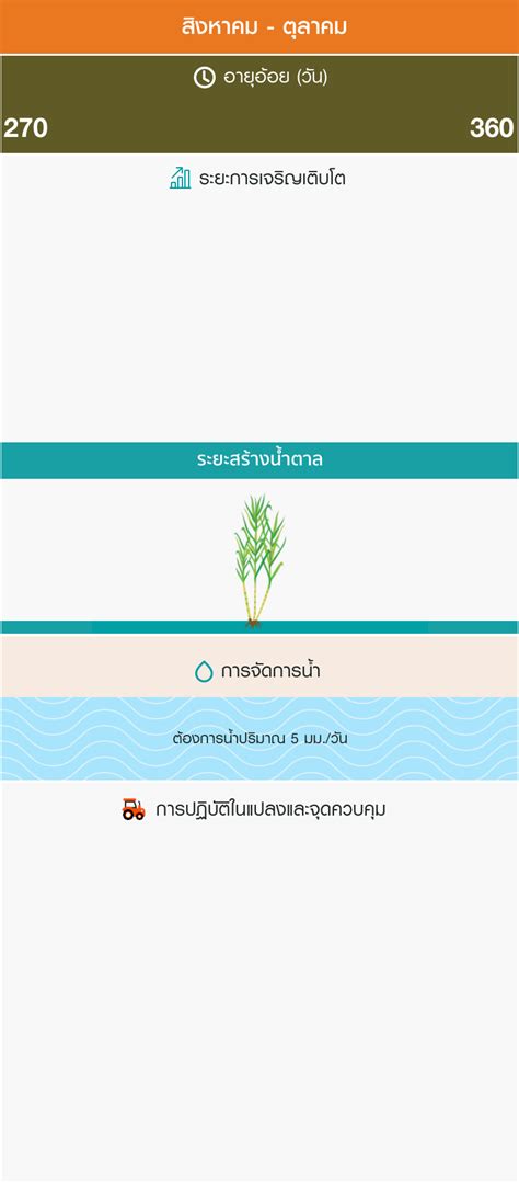 ปฏิทินการเพาะปลูกอ้อยข้ามแล้ง สำหรับพื้นที่ดินร่วนทราย Kubota Agri