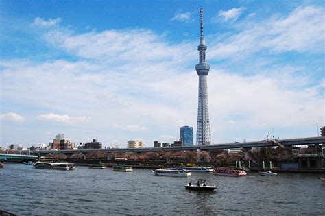 スカイツリーをバックに花見屋形船 2017年4月 料理自慢の屋形船「なわ安」 東京・浜松町出航の屋形船