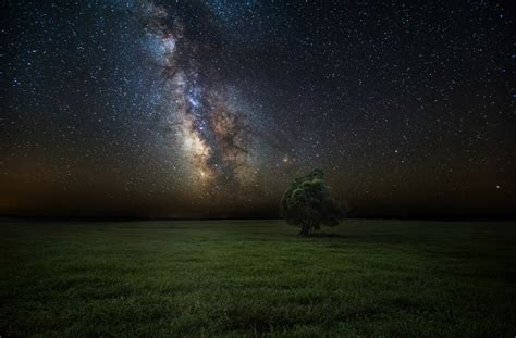 Stars Night Grass Hd Wallpaper Rare Gallery