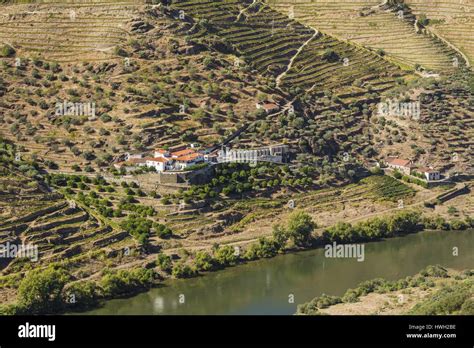 Portugal Sao Joao Da Pesqueira Upper Douro Valley And Its Vineyards