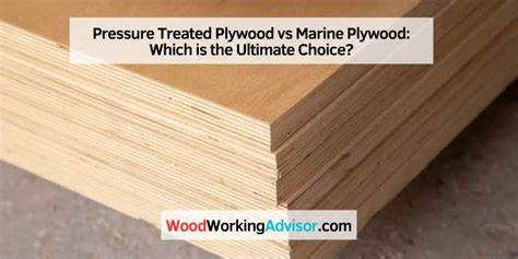 Pressure Treated Plywood Vs Marine Plywood Which Is The Ultimate